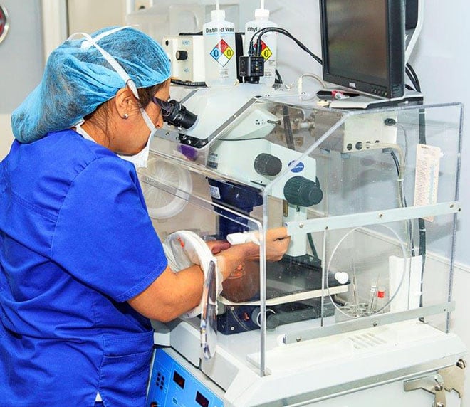 IVF Process for Gay Men | Gay Parents to Be